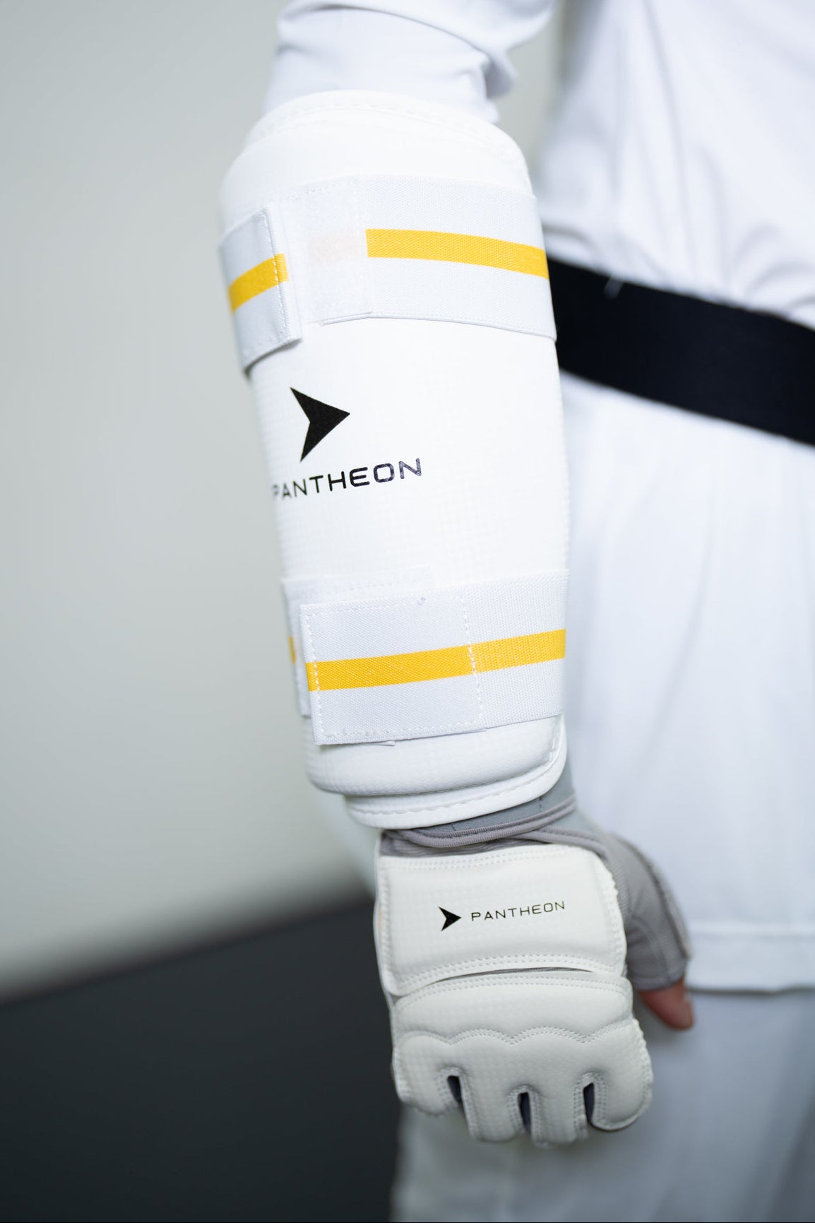 Arm Guard – Pantheon TKD