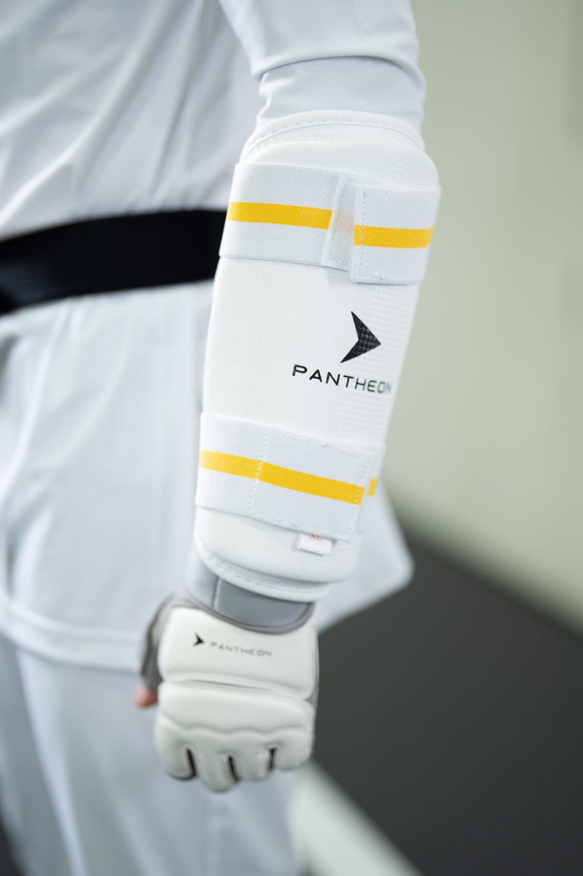 Arm Guard – Pantheon TKD