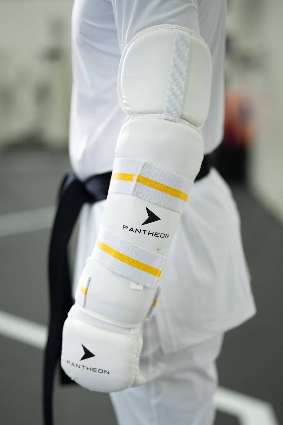 Heavy Duty Arm Guard – Pantheon TKD
